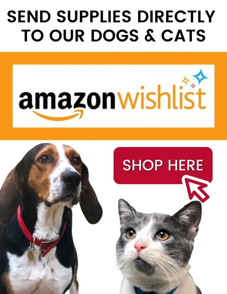 CHA Animal Shelter Home - CHA Animal Shelter